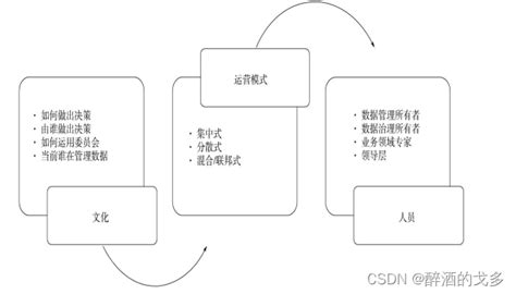 dama dmbok2重点知识整理cdga cdgp——第16章 数据管理组织与角色期望 dmbok2 数据所有者在数据治理语境关系图中属于