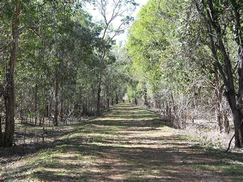 Barolin Nature Reserve In Mon Repos The Fold Your Guide To Everything Regional Australia