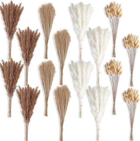 400 Pcs Small Boho Pampas Grass 17 Naturally Dried Pompas Pampas