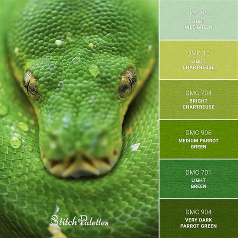 Green Tree Python Embroidery Color Palette