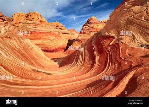 Eroded Sandstone Formations In Vermilion Cliffs National Monument