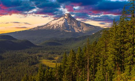 Mt Hood National Forest