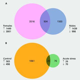 PDF Sex In The Brain Hormones And Sex Differences