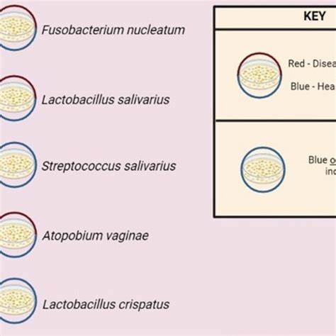 Set Of Bacterial Species Which Could Be Targeted For Identification Of