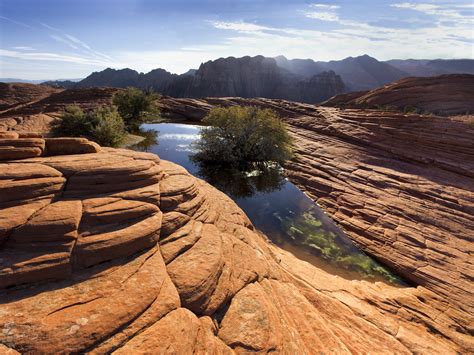 Snow Canyon State Park St George Utah Last Pond With Wate Flickr