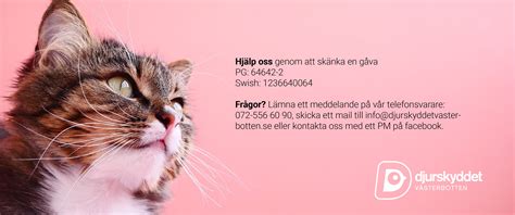 Nail Design School Nail Design School Nailcode Sverige