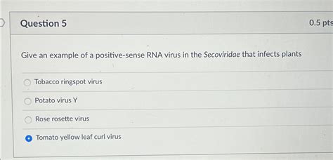 Solved Question 5give An Example Of A Positive Sense Rna