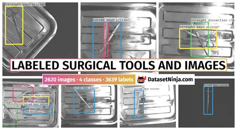 Labeled Surgical Tools And Images Dataset Ninja