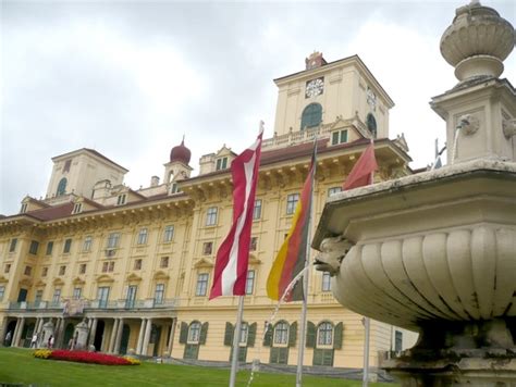 Classy Linesღ Home