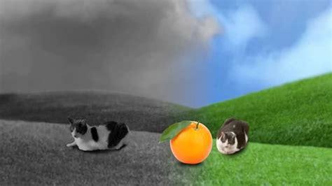 Create A Simple Lua Based Animation By Itsgioshawn Fiverr