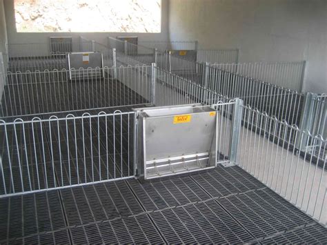 Modulo De Dos Corrales Cerdos En Destete De 160×310 Cm Ipasa