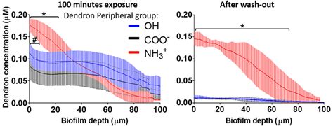 Penetration And Accumulation Of Dendrons With Different Peripheral