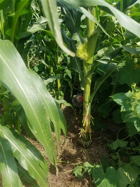 The Small Hold Will Not Go Down Without A Fight A New Day And