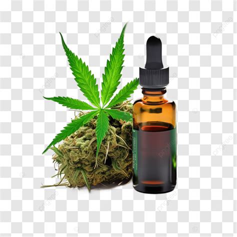 Cbd Oil Hemp Extract Natural Remedy Cbd Oil Hemp Oil Natural Health