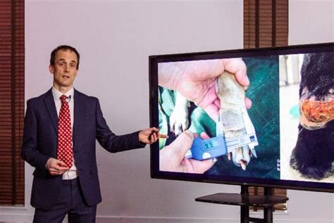 Neil Mottram On Linkedin Great New Live Stream Complimentary Cpd