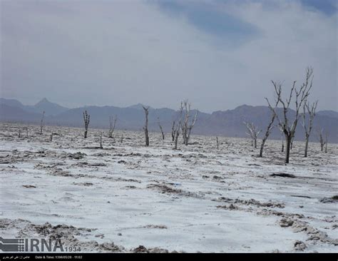 ایرنا کویر نمک حسن آباد دامغان عکاس میثم اسماعیلی