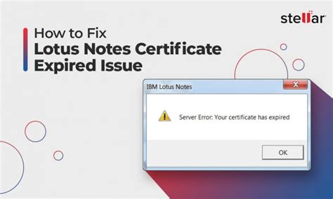 Top Lotus Notes Nsf Viewer Tools Stellar