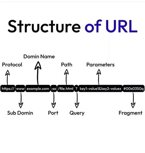 ayisha shirin vp on linkedin section webdevelopment beginnersguide