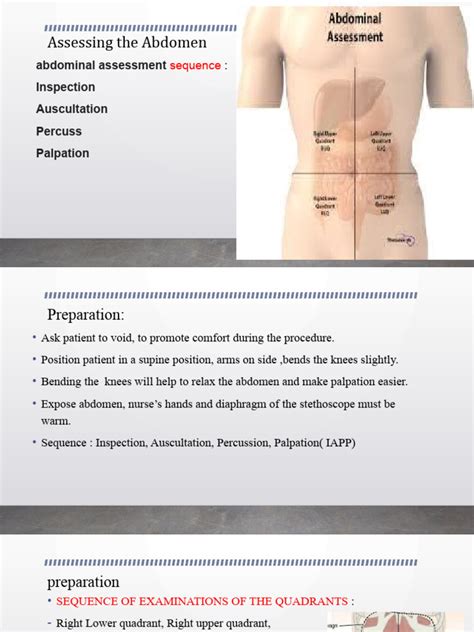 Abdominal Assessment Sequence Guide Pdf Abdomen Anatomy
