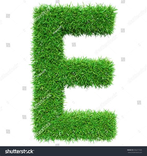 Green Grass Letter E Isolated On Stock Illustration 556271920