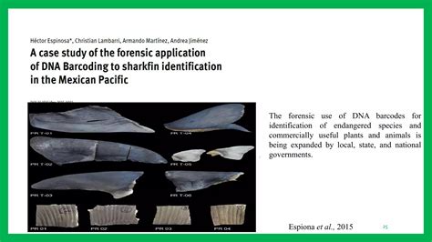 Dna Barcoding And Insect Diversity Coservation Pptx