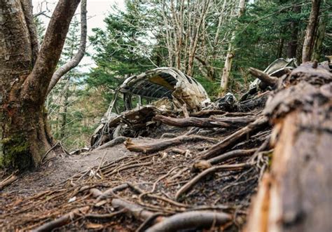 Investigación De Accidentes Aeroprof Sa