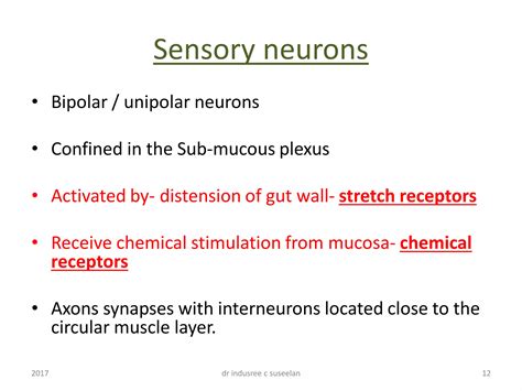 Enteric Nervous System Pdf