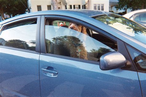 Sarah And Odette Everyday Views