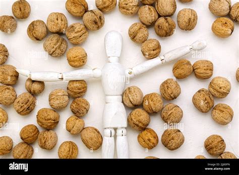 Walnut Concept Idea In The Human Brain Thinking Vitamins For The