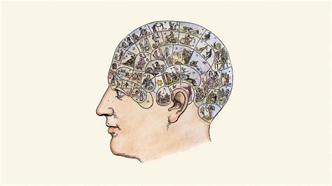 38 Facts About Neuromyth