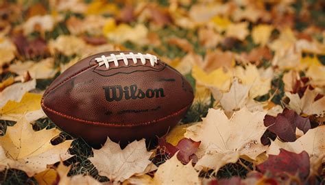 Wilson Football Surrounded By Autumn Leaves Virtual Background Playground