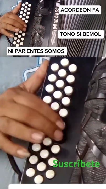 Ni Parientes Somos Tigresdelnorte Accordion Tutorial Acordeon Norteño Suscribete Youtube