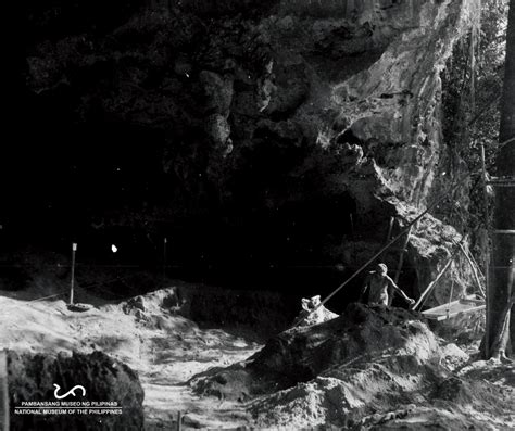 The Fossil Bones Of The Tabon Man Are At Daniel Mcbryde Blog