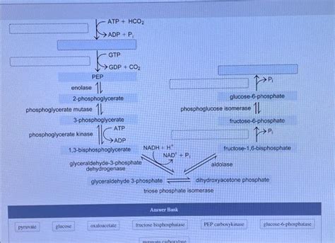 Solved 2 Phosphoglycerate Glucose 6 Phosphate
