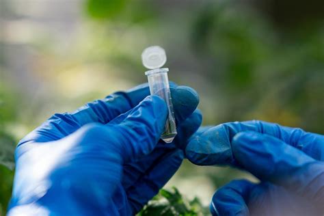 Frederick Mildenhall Graduate Ag Research Spotlight