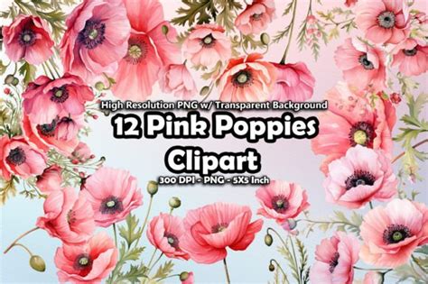 12 Pink Poppies Clipart Png Graphic By Printztopbrand · Creative Fabrica