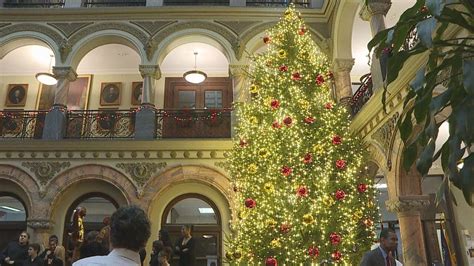 Rochester City Hall Lights Up 25 Foot Christmas Tree