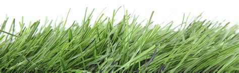 Flo Rite Thru Technology