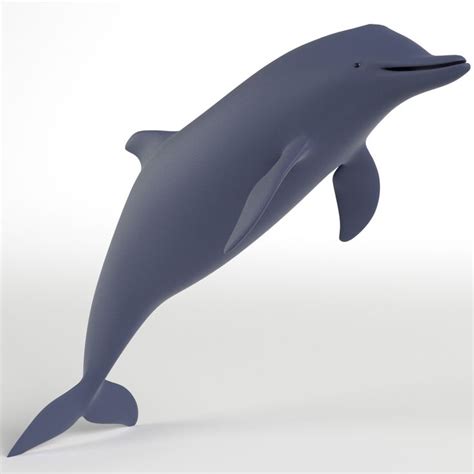 Pin On Ocean Critters