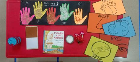 Abl Activity For Sense Organs Dps Pre School Maninagar