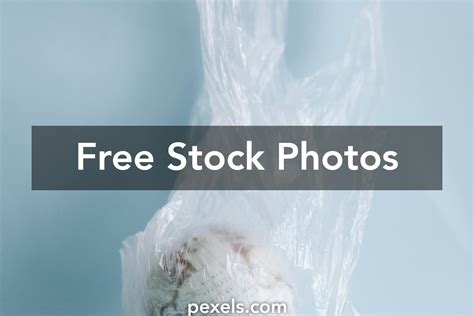 Global Environmental Issues Photos Download The Best Free Global