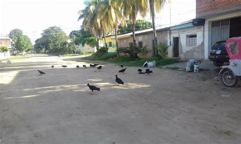 El único Responsable Del Christopher Sandro Rivero