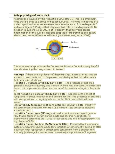 Pathophysiology Of Hepatitis B Hepatitis B Hepatitis