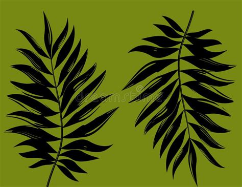Leaf Mask Design Sketch Black Leaf Mask Art Design Leaf Branch Black