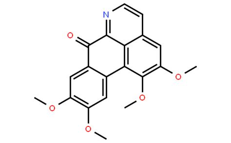 氧气分子结构示意图 氧气分子 氢气分子图 大山谷图库