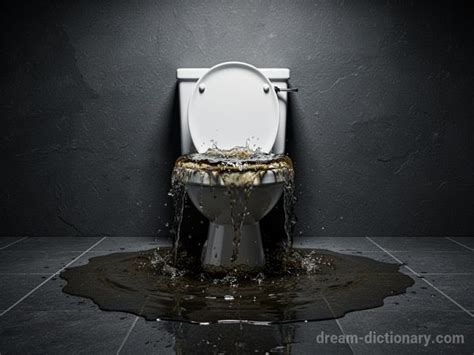 Overflowing Toilet Dream Meaning Overwhelm Release And Chaos
