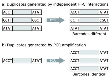 hicup pipeline for mapping and processing hi c data pmc