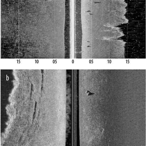 Example Of Side Scan Sonar Images A Fragment Of A Video With Several