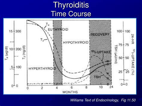 Ppt Thyroid Physiology And Thyroiditis Powerpoint Presentation Free