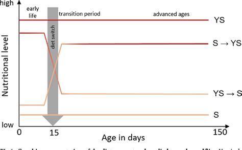 Figure 1 From Effects Of Early Life Protein Starvation On Longevity And Sexual Performance Of